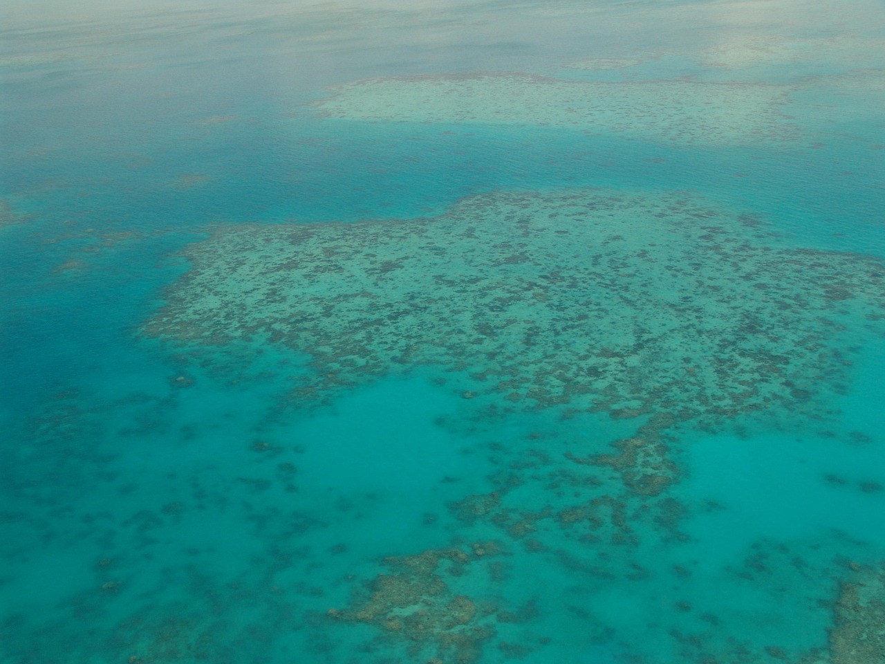 Exploring the Great Barrier Reef: A Diver's Paradise